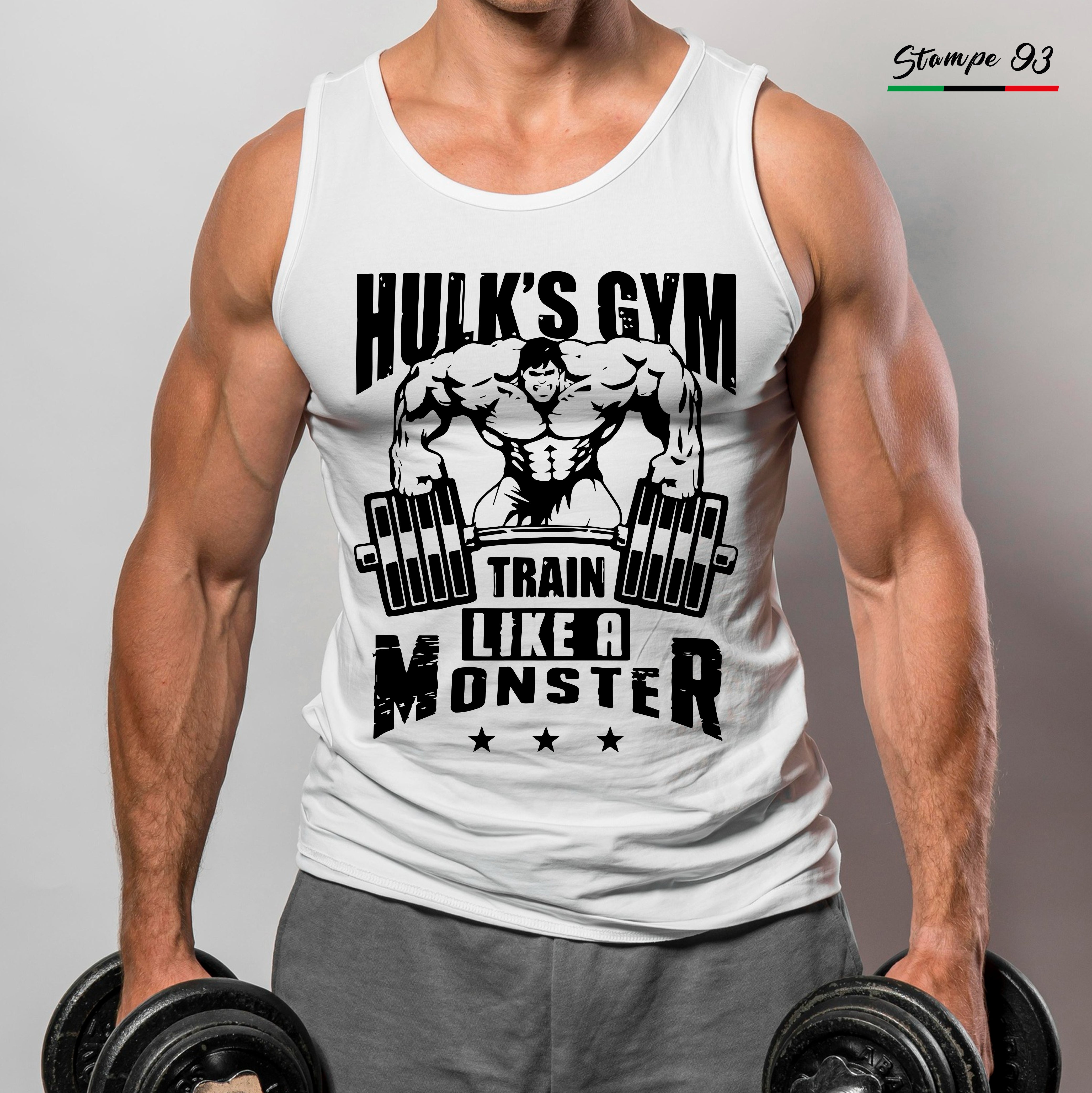 Hulk´s GYM Transfer – Stampe93